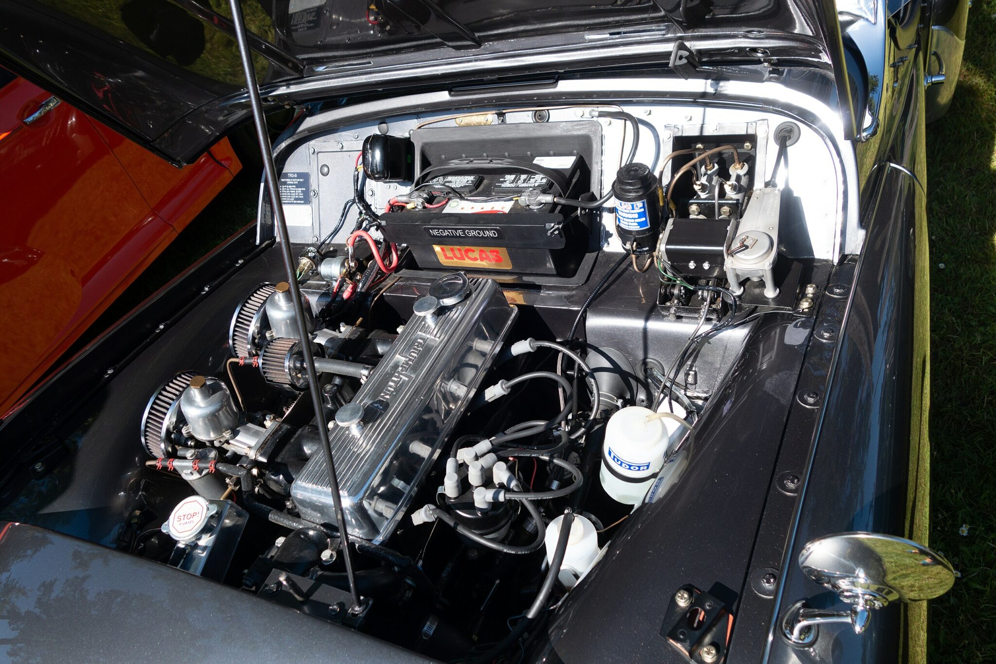 1953-55, 1955-62 Triumph TR2 and TR3 buying guide from Magneto magazine ...